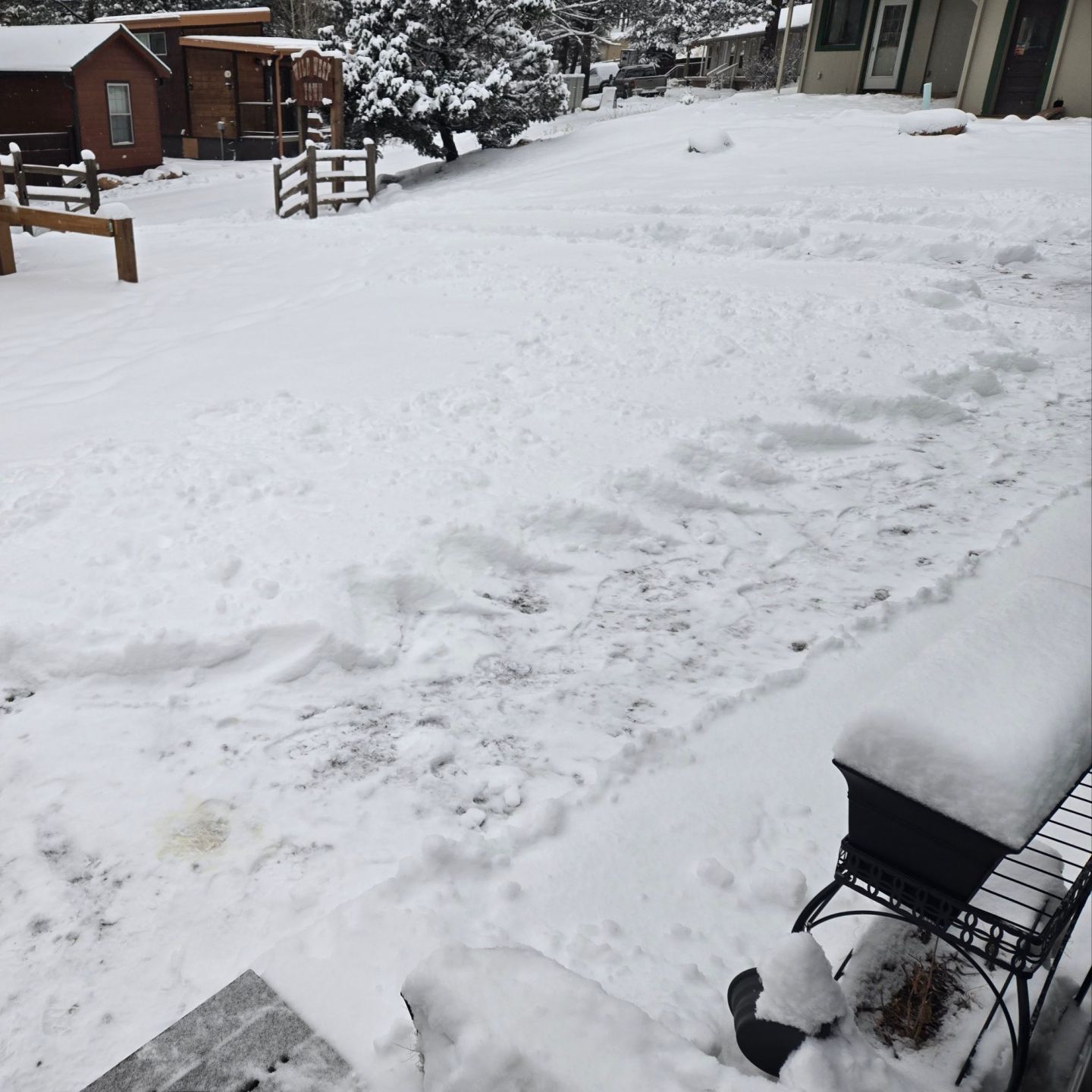 Snow Day! | In Search of Secrets